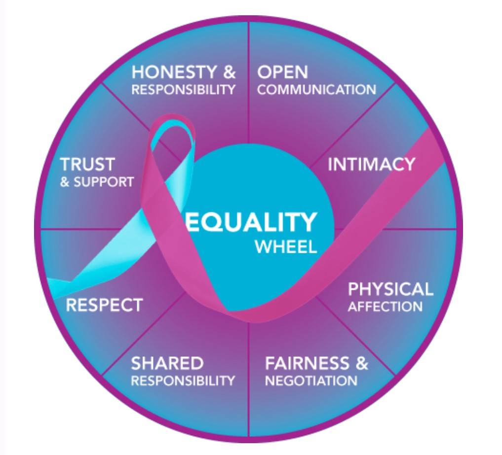 Power and Control Wheel – Dynamic Family Solutions