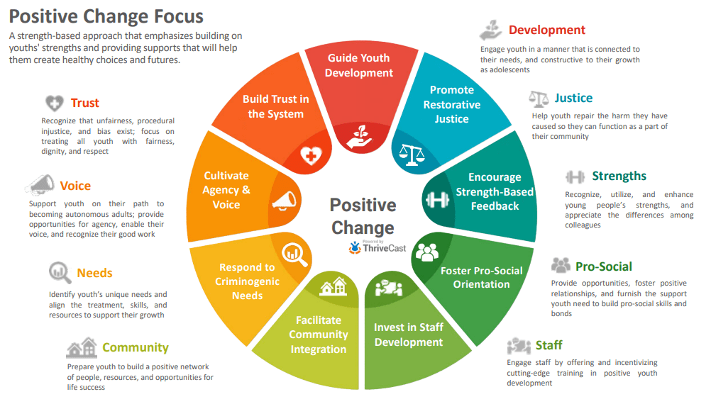 Curriculum Development – Dynamic Family Solutions Curriculum Development – Dynamic Family Solutions